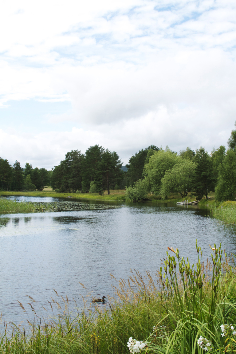 Lars Bucket List: Carl and Karin Larsson's home in Sundborn, Sweden ...