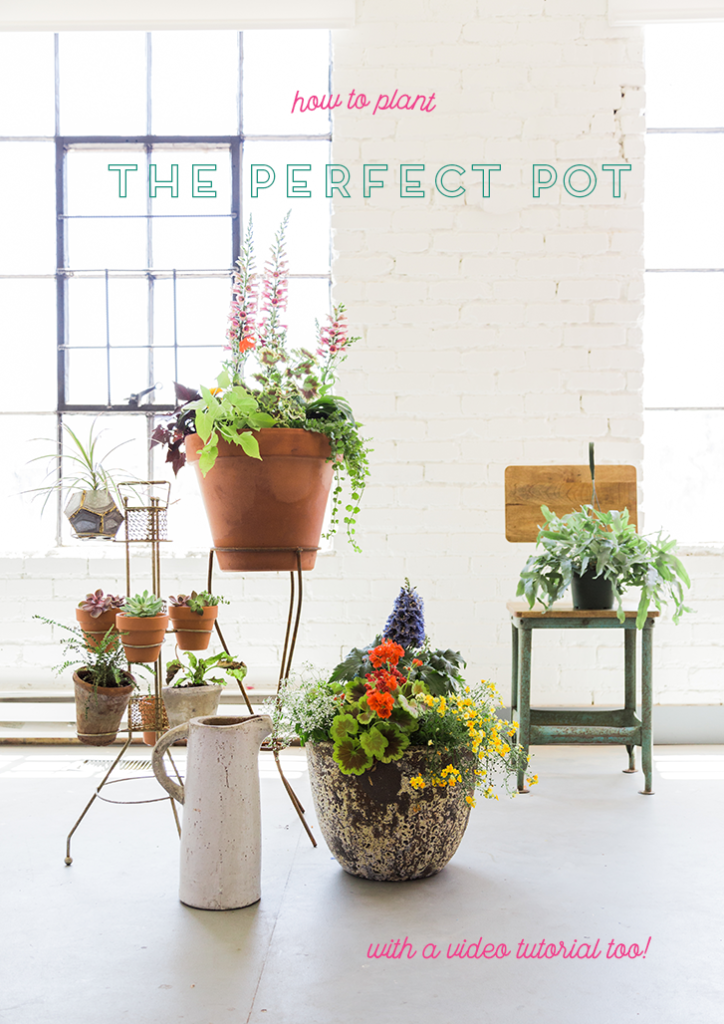 How to plant the perfect pot (video) - The House That Lars Built