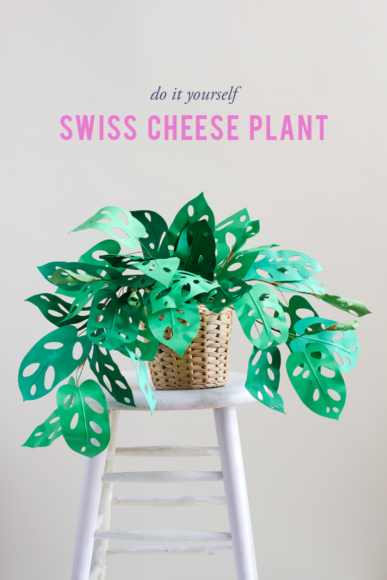 DIY Paper Swiss Cheese Plant - The House That Lars Built