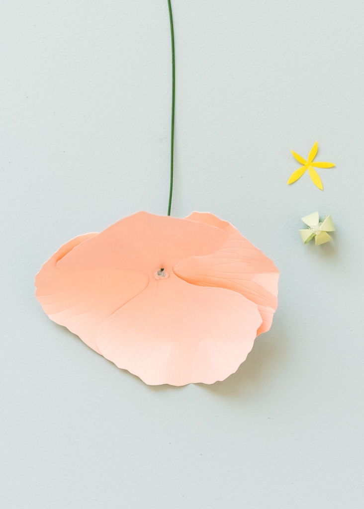 Icelandic Paper Poppy + The New JOANN - The House That Lars Built