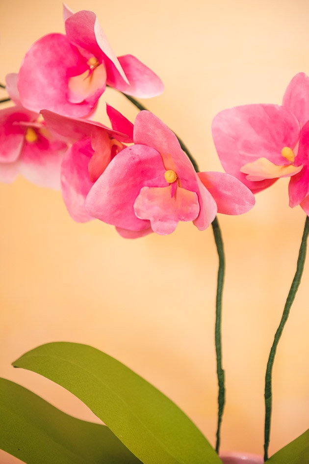 DIY Paper Orchids - The House That Lars Built